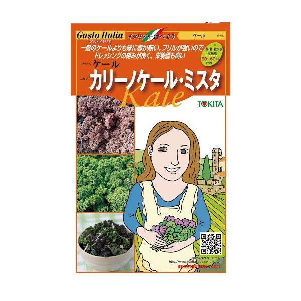 特性地中海沿岸が原産で、キャベツの原種の野生カンランにより近いと言われている。生食でも苦味やエグ味は少なく癖がない。また、加熱するとより甘みが出てとても味わい深くなる。ビタミンやミネラルを豊富に含んでおり、普通のキャベツより栄養価も高い。