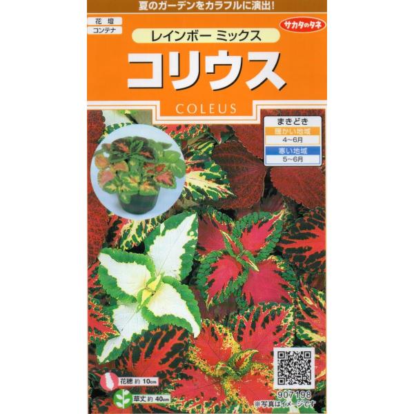 小袋　0.05ml入り。この袋で育つ苗の本数　およそ50本。草丈　約 40cmに育ちます。葉の色彩を楽しむので、穂状の花が伸びてきたら摘み取ります。※郵便でのお届けになります。※タネの郵便（第４種便）は運賃が税込￥73〜602円の範囲内です...