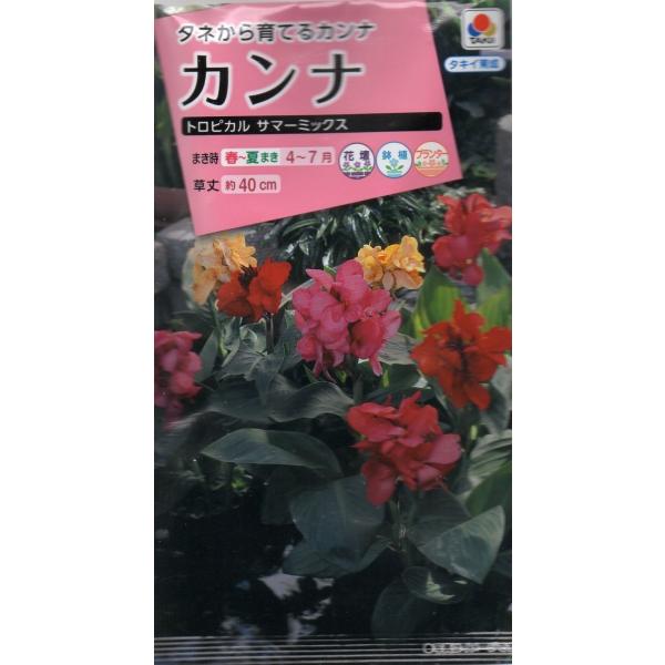 小袋　5ml入り。草丈　約40cmこの1袋でおよそ5本の苗が育ちます。酷暑に耐え、長期間咲き続けるので、夏花壇には最適です。※郵便でのお届けになります。※タネの郵便（第４種便）は運賃が税込￥73〜602円の範囲内です。※１kgを超えるもの、...