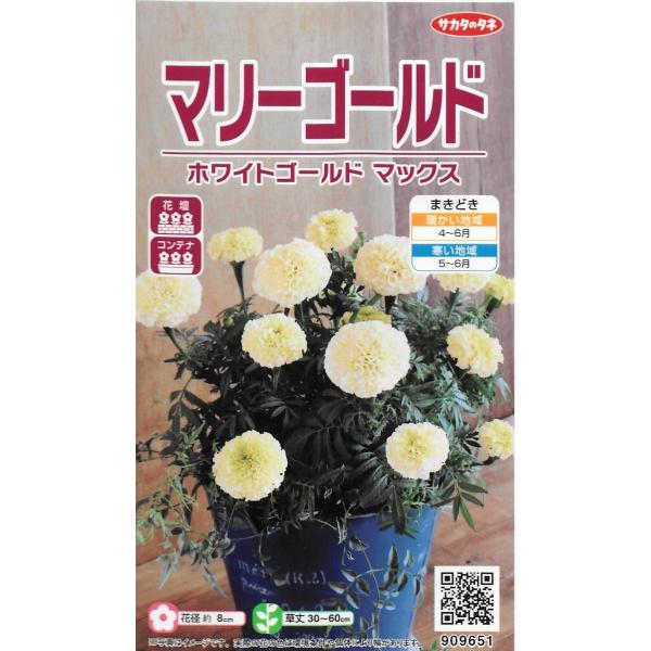 小袋30粒入り。咲き始めは黄色みがかりますが、徐々に白くなります。花径約8cm、草丈約30〜60cm。※郵便でのお届けになります。※タネの郵便（第４種便）は運賃が税込￥73〜602円の範囲内です。※１kgを超えるもの、大きくて郵便で送れない...