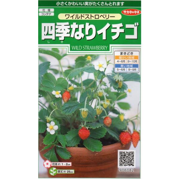 小袋　0.1ml入り。花径　約1〜2cm　草丈　約 25cmに育ちます。四季なり性なので鉢植えにして室内で管理すると冬でも小粒ですが実は収穫できます。※郵便でのお届けになります。※タネの郵便（第４種便）は運賃が税込￥73〜602円の範囲内で...