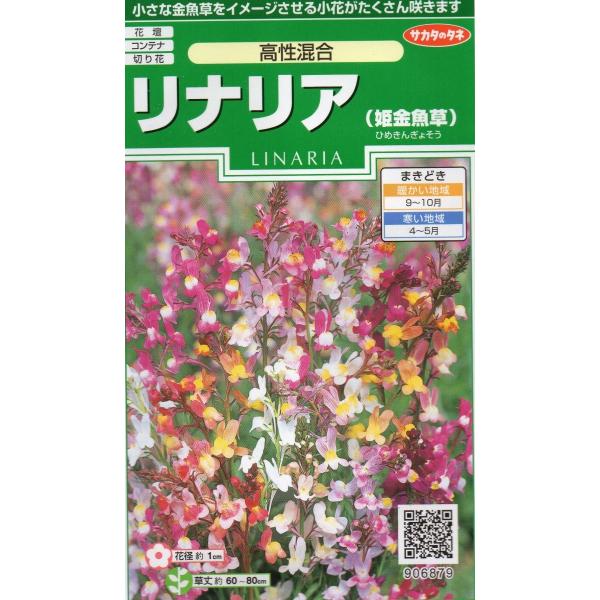 小袋　0.1ml入り。この　1袋でおよそ　250本の苗が育ちます。花径　約1cm　草丈　約 60〜80cmに育ちます。※郵便でのお届けになります。※タネの郵便（第４種便）は運賃が税込￥73〜602円の範囲内です。※１kgを超えるもの、大きく...