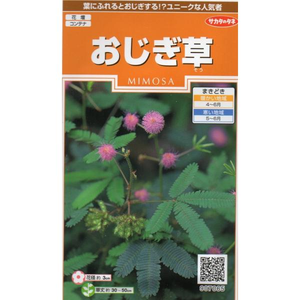 小袋　0.2ml入り。この　1袋でおよそ　10本の苗が育ちます。花径　約3cm　草丈　約 30〜50cmに育ちます。葉に触れると葉を閉じて垂れ下がる刺激運動と日没後に同様な動きの睡眠運動を行う代表的な植物です。※郵便でのお届けになります。※...