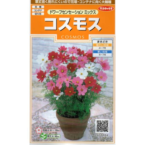 小袋2ml入り。この1袋でおよそ60本の苗が育ちます。花径約8〜10cm、草丈約50cmになります。※郵便でのお届けになります。※タネの郵便（第４種便）は運賃が税込￥73〜602円の範囲内です。※１kgを超えるもの、大きくて郵便で送れないも...