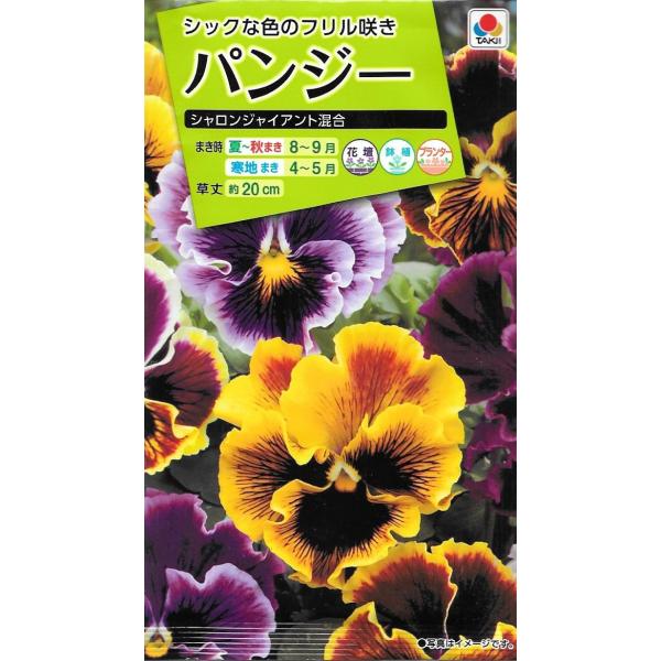 小袋　0.3ml入り。花径約7cmの中輪タイプ。草丈約20cm※郵便でのお届けになります。※タネの郵便（第４種便）は運賃が税込￥73〜602円の範囲内です。※１kgを超えるもの、大きくて郵便で送れないものはゆうぱっく　でのお届けになります。...