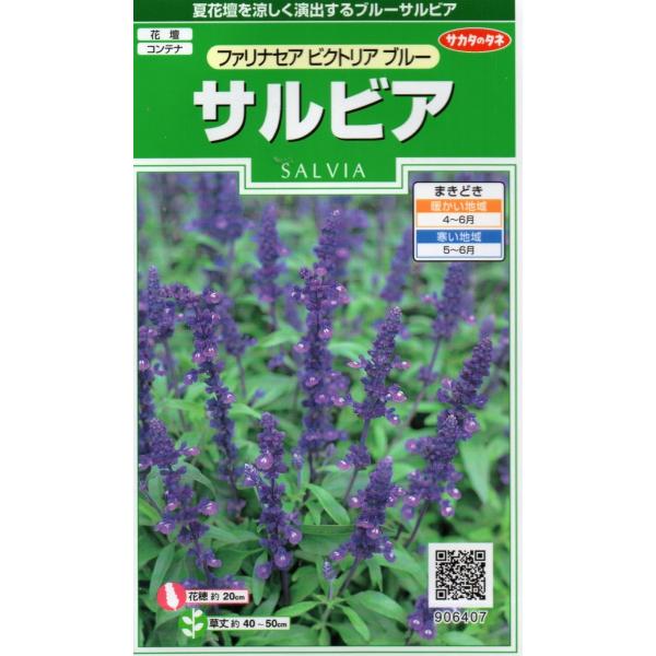 小袋0.1ml入り。花穂は約20cm、草丈は40〜50cmで花壇やコンテナ栽培に最適です。※郵便でのお届けになります。※タネの郵便（第４種便）は運賃が税込￥73〜602円の範囲内です。※１kgを超えるもの、大きくて郵便で送れないものはゆうぱ...
