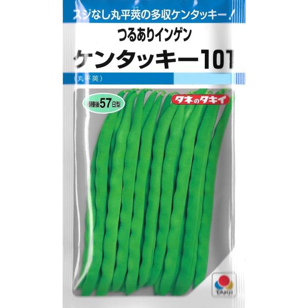 小袋27ml入り。長さ21〜23cm程度の莢がたくさんつく！草勢旺盛に育ち、揃いがよい。※郵便でのお届けです。※タネの郵便（第４種便）は運賃が税込￥73〜602円の範囲内です。※１kgを超えるもの、大きくて郵便では送れないものはゆうぱっく　...