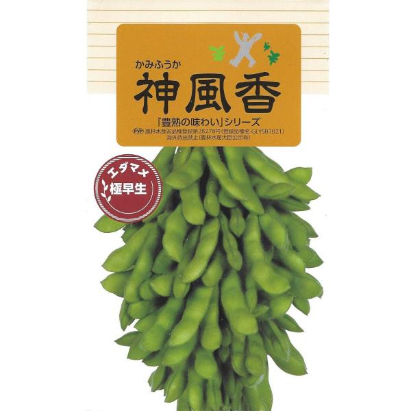 小袋70ml。茶豆風味で甘みがあり、食味に優れています。莢は大莢で3粒・4粒莢の割合が高いです。品種名：GYYSB1021この品種は登録品種です。この品種は海外への持ち出しが禁止されています。※郵便でのお届けになります。※タネの郵便（第４種...