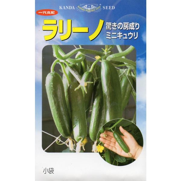 小袋10粒入り。うどんこ病に非常に強く、べと病にも抵抗性があります。果長10cm前後の果実が節成りする豊産種。生食にもピクルスにも向いています。※郵便でのお届けです。※タネの郵便（第４種便）は運賃が税込￥73〜602円の範囲内です。※１kg...