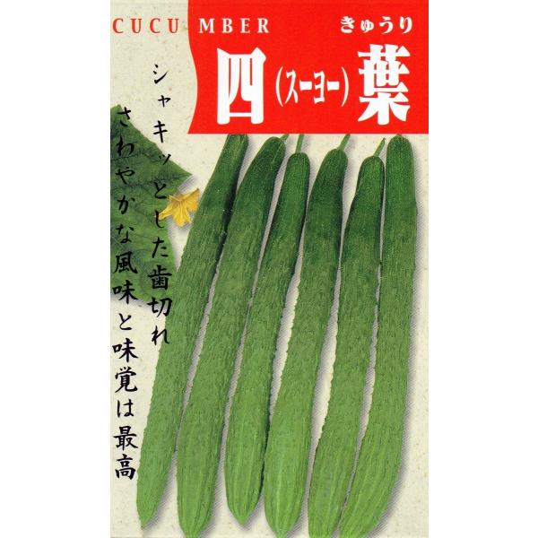 小袋　2ml入り。古くから栽培されているイボがあるキュウリです。※郵便でのお届けです。※タネの郵便（第４種便）は運賃が税込￥73〜602円の範囲内です。※１kgを超えるもの、大きくて郵便で送れないものはゆうぱっく　でのお届けになります。※当...