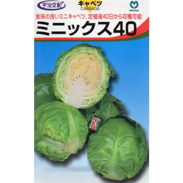 小袋70粒入り。超極早生種で500ｇ〜800ｇのミニサイズキャベツ。少人数家族でも食べきれます！※郵便でのお届けです。※タネの郵便（第４種便）は運賃が税込￥73〜602円の範囲内です。※１kgを超えるもの、大きくて郵便で送れないものはゆうぱ...