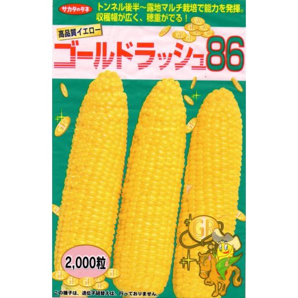 2000粒入り。播種後86日程度で収穫できる中早生黄色品種です。甘みが強く、粒皮もやわらかで食味が良い。※郵便でのお届けです。※タネの郵便（第４種便）は運賃が税込￥72〜586円の範囲内です。※１kgを超えるもの、大きくて郵便で送れないもの...