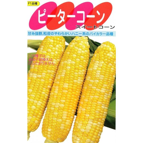 2000粒入り。甘い！なんと言っても丈夫で育てやすい！※郵便でのお届けです。※タネの郵便（第４種便）は運賃が税込￥73〜602円の範囲内です。※１kgを超えるもの、大きくて郵便で送れないものはゆうぱっく　でのお届けになります。※当社では実店...