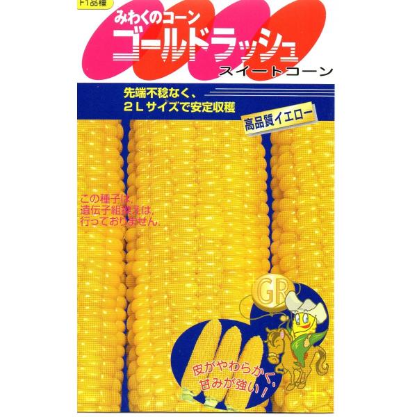 2000粒入り。中早生黄色品種です。粒皮が軟らかく、さわやかな甘みです。発芽低温伸張性が良い。※郵便でのお届けです。※タネの郵便（第４種便）は運賃が税込￥73〜602円の範囲内です。※１kgを超えるもの、大きくて郵便で送れないものはゆうぱっ...