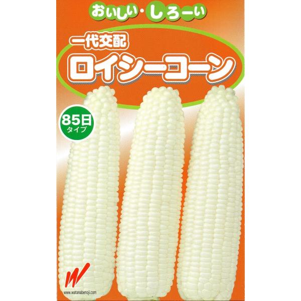 小袋 40粒入り。85日タイプの中早生品種で草丈は190cm前後になります。※郵便でのお届けです。※タネの郵便（第４種便）は運賃が税込￥73〜602円の範囲内です。※１kgを超えるもの、大きくて郵便で送れないものはゆうぱっく　でのお届けにな...