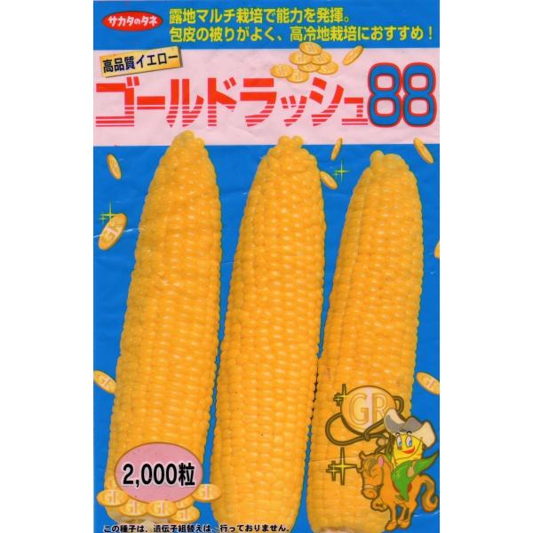 2000粒入り。播種後88日程度で収穫できる中生黄色品種です。甘みが特に強く、粒皮もやわらかで食味が非常に良い。※郵便でのお届けです。※タネの郵便（第４種便）は運賃が税込￥73〜602円の範囲内です。※１kgを超えるもの、大きくて郵便で送れ...