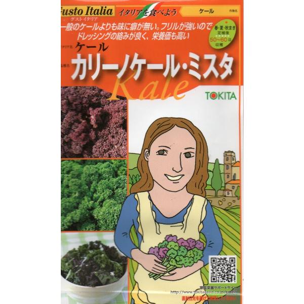 小袋 40粒入り。葉が細かいフリル状になる。内容：カリーノケール・ロッソ（赤）、カリーノケール・CG（緑）各20粒料理しておいしい品種です。※郵便でのお届けです。※タネの郵便（第４種便）は運賃が税込￥73〜602円の範囲内です。※１kgを超...