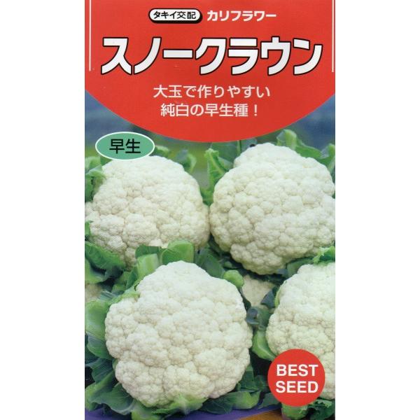 小袋1.3ml（約220粒）入り。生育旺盛で育てやすい早生品種です。花蕾は緻密で直径約16cm重さは850ｇ程度になります。※郵便でのお届けです。※タネの郵便（第４種便）は運賃が税込￥73〜602円の範囲内です。※１kgを超えるもの、大きく...