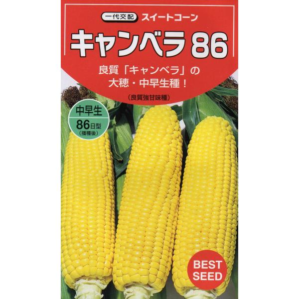 小袋 70粒入り。糖度が高く、食味最高。熟期は中間地のマルチ栽培でおよそ86日。※郵便でのお届けです。※タネの郵便（第４種便）は運賃が税込￥73〜602円の範囲内です。※１kgを超えるもの、大きくて郵便で送れないものはゆうぱっく　でのお届け...