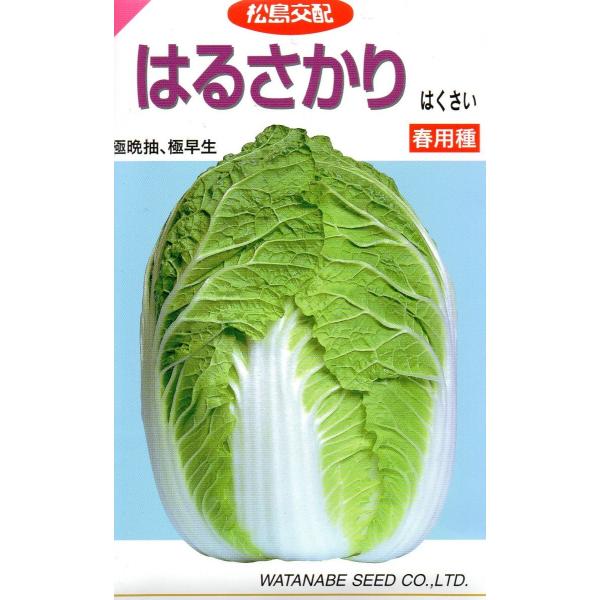 小袋1.3ml極早生品種で定植後55日、直播きで60日程度で収穫できます。※郵便でのお届けになります。※タネの郵便（第４種便）は運賃が税込￥73〜602円の範囲内です。※１kgを超えるもの、大きくて郵便で送れないものはゆうぱっく　でのお届け...