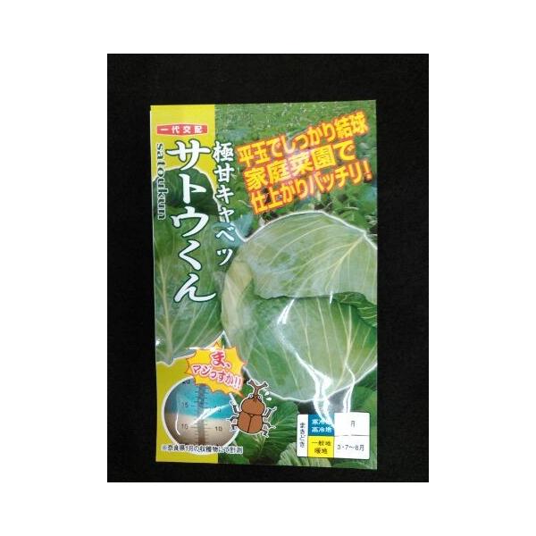 小袋 40粒入り。耐寒性は中程度のため年内収穫がおススメです。※郵便でのお届けです。※タネの郵便（第４種便）は運賃が税込￥73〜602円の範囲内です。※１kgを超えるもの、大きくて郵便で送れないものはゆうぱっく　でのお届けになります。※当社...