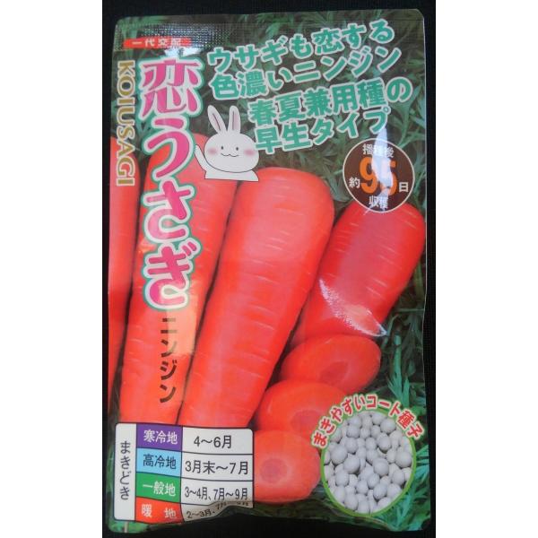 小袋　コート種子250粒入り。早生タイプなのに裂根が少なく日持ちします。撒きやすいコート加工種子です。※郵便でのお届けになります。※タネの郵便（第４種便）は運賃が税込￥73〜602円の範囲内です。※１kgを超えるもの、大きくて郵便で送れない...