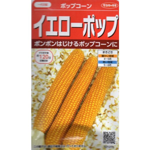 小袋 20ml入り。完全に熟させてよく乾燥したものを煎るとはじけて何倍にも膨らみます。採苗本数（間引き前）：およそ60本※郵便でのお届けです。※タネの郵便（第４種便）は運賃が税込￥73〜602円の範囲内です。※１kgを超えるもの、大きくて郵...