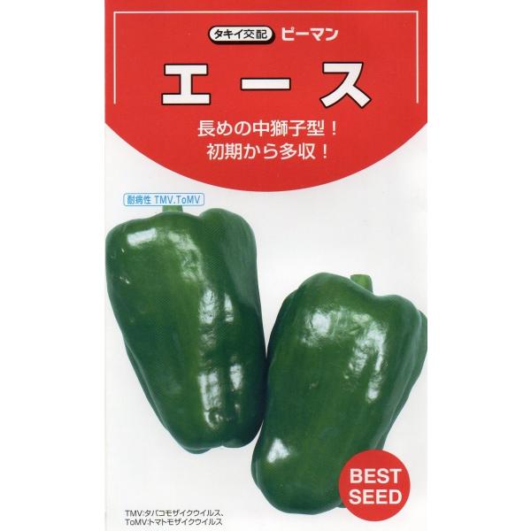 小袋30粒入り。半促成・トンネル・露地・抑制栽培など幅広い栽培に向いています。肉厚でボリュームがあり、食味の良いピーマンです。※郵便でのお届けです。※タネの郵便（第４種便）は運賃が税込￥73〜602円の範囲内です。※１kgを超えるもの、大き...