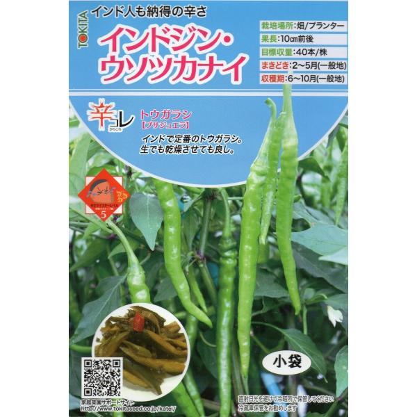 小袋20粒入り。定植時期の目安は、遅霜の心配がなく最低気温10℃以上、最低地温15℃以上です。※郵便でのお届けです。※タネの郵便（第４種便）は運賃が税込￥73〜602円の範囲内です。※１kgを超えるもの、大きくて郵便で送れないものはゆうぱっ...