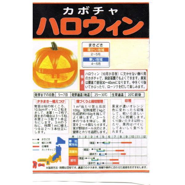 小袋 10粒入り。ハロウィンでおなじみの飾り用カボチャです。当店オリジナルデザイン袋にて発送いたします。※郵便でのお届けです。※タネの郵便（第４種便）は運賃が税込￥73〜602円の範囲内です。※１kgを超えるもの、大きくて郵便で送れないもの...