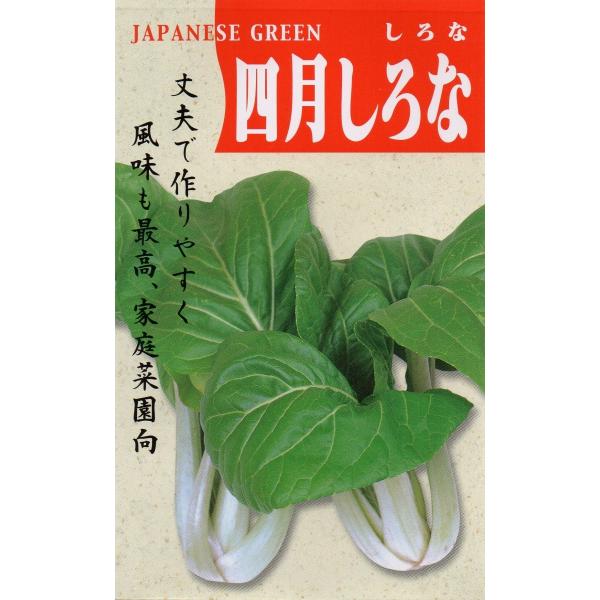 小袋8ml入り。寒さに強く、トウ立ちも極めて遅い優良種です。プランター等でも手軽につくれます。風味豊かで、煮食、漬物に最適です。※郵便にてお届けします。※タネの郵便（第４種便）は運賃が税込￥73〜602円の範囲内です。※１kgを超えるもの、...