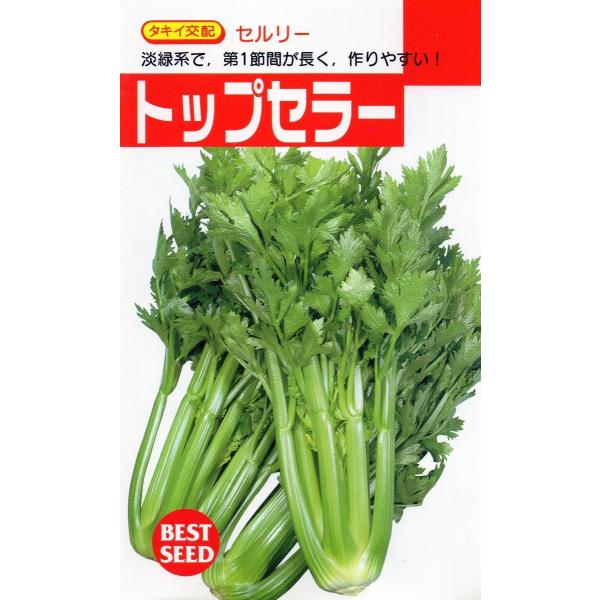 小袋 0.7ml入り。栽培がしやすく人気のあるセロリーです。※郵便でのお届けです。※タネの郵便（第４種便）は運賃が税込￥73〜602円の範囲内です。※１kgを超えるもの、大きくて郵便で送れないものはゆうぱっく　でのお届けになります。※当社で...