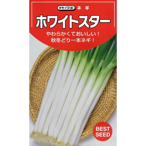 小袋 200粒入り。取り扱い便利なペレット種子です。※郵便でのお届けになります。※タネの郵便（第４種便）は運賃が税込￥73〜602円の範囲内です。※１kgを超えるもの、大きくて郵便で送れないものはゆうぱっく　でのお届けになります。※当社では...