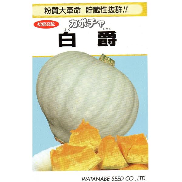 小袋 8粒 入り。貯蔵に向いたおいしい白カボチャです。※上記の詰め量は当社のオリジナル規格です。果実は2kg程度の大きさに育ちます。白い皮で貯蔵性がよく収穫後 3〜4ヶ月保存が可能です。収穫後 約30日くらいから甘みが増します。※郵便でのお...