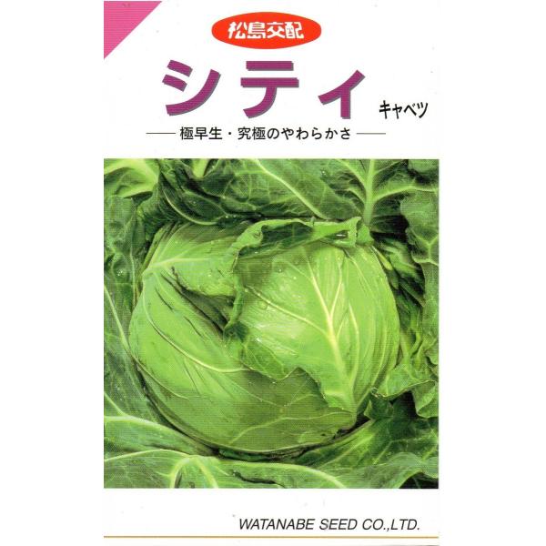 小袋 1.3ml入り。重量は1.2kg程度になります。※郵便でのお届けです。※タネの郵便（第４種便）は運賃が税込￥73〜602円の範囲内です。※１kgを超えるもの、大きくて郵便で送れないものはゆうぱっく　でのお届けになります。※当社では実店...