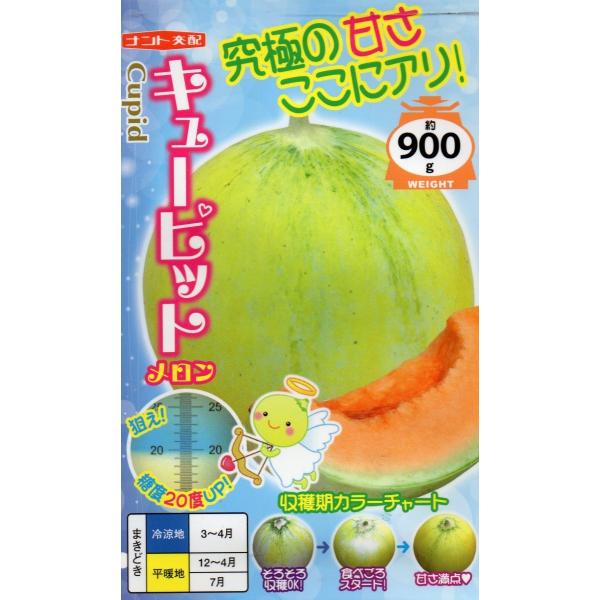 小袋 7粒入り。開花後40日前後で収穫期となります。※郵便でのお届けです。※タネの郵便（第４種便）は運賃が税込￥73〜602円の範囲内です。※１kgを超えるもの、大きくて郵便で送れないものはゆうぱっく　でのお届けになります。※当社では実店舗...