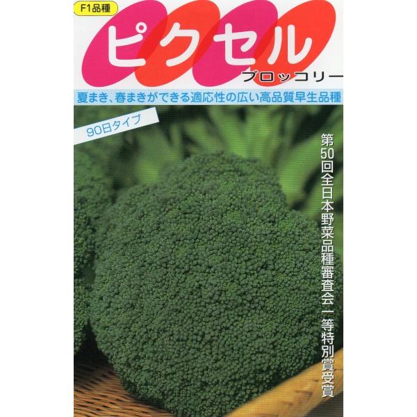 小袋 100粒入り。定植90日前後で収穫できます。※郵便でのお届けです。※タネの郵便（第４種便）は運賃が税込￥73〜602円の範囲内です。※１kgを超えるもの、大きくて郵便で送れないものはゆうぱっく　でのお届けになります。※当社では実店舗と...