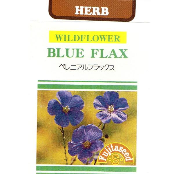 小袋 1ml入り。茎からとれる繊維は織物のリネンとして利用されます。種子からとれる亜麻仁油は家具の艶出しに利用されます。また、入浴剤にすると肌を滑らかにする効果があるといわれています。類似の「ブルーフラックス」は1年草ですが、こちらは宿根草...