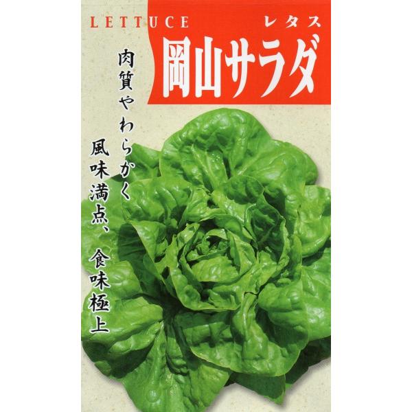 小袋　1.2ml入り。縮みが少ないサラダ菜です。とろけるような柔らかい食感はサラダ料理に最適です。※郵便でのお届けになります。※タネの郵便（第４種便）は運賃が税込￥72〜586円の範囲内です。※１kgを超えるもの、大きくて郵便で送れないもの...