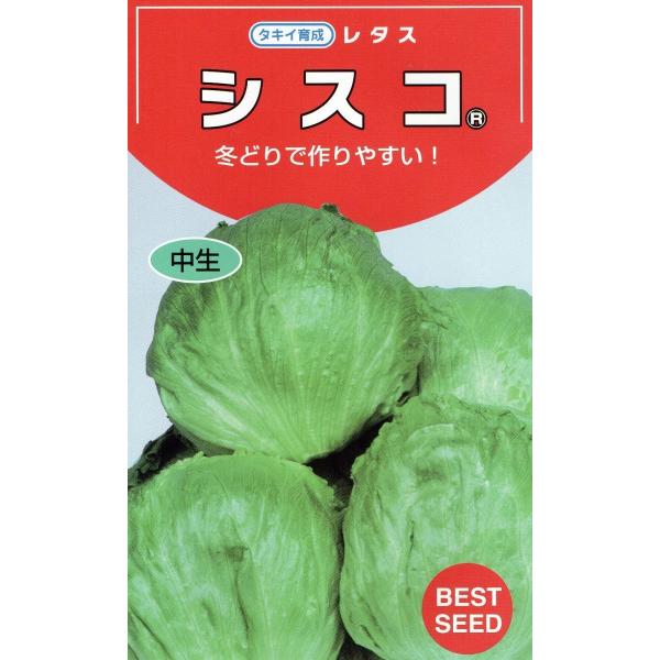 小袋　0.9ml入り。冷涼地　春播き　初夏穫り中間地　初秋〜初冬播き　冬〜春穫り暖地　初秋播き　冬穫り　　　初春播き　　初夏穫りなどの栽培が可能です。異なるデザインの袋でお届けする場合がございます。※郵便でのお届けになります。※タネの郵便（...