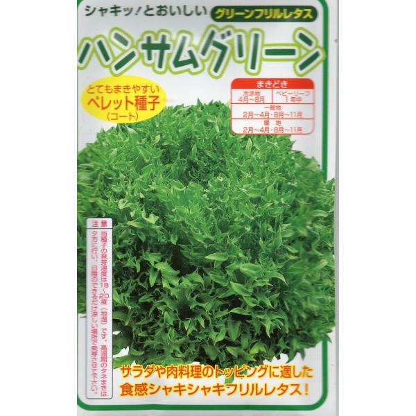 小袋　コート種子100粒入り。サラダやお肉を巻いて食べるなど利用の幅の広い便利野菜。ベビーリーフにしてもおいしいです。※郵便でのお届けになります。※タネの郵便（第４種便）は運賃が税込￥73〜602円の範囲内です。※１kgを超えるもの、大きく...