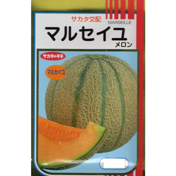 小袋 9粒入り。果実は1.1kg前後になります。果肉は橙色、糖度は高く、肉質は粘質で収穫前後から食味は良く、日もちが良い。※郵便でのお届けです。※写真とは異なる包装袋でお送りすることがあります。※タネの郵便（第４種便）は運賃が税込￥73〜6...