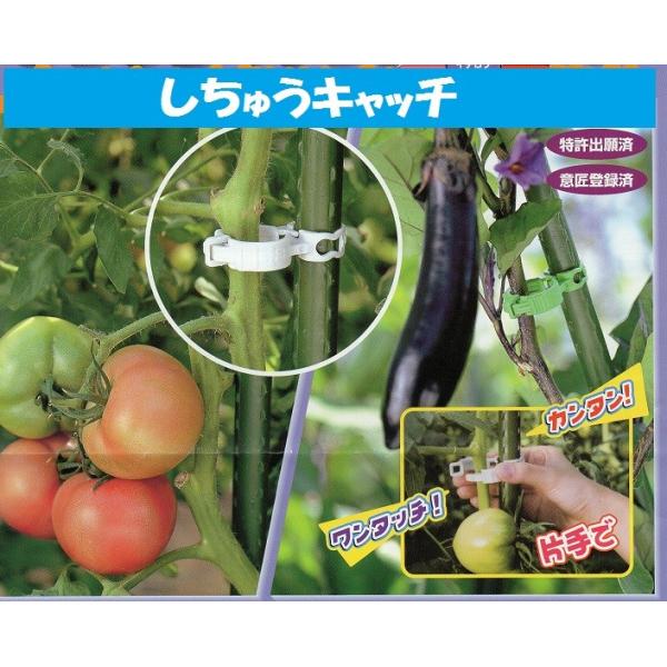 1袋12個入り。直径16mmの支柱に対応しています。簡単に取り外しできて長持ちなので何度も繰り返し使用できます。※レターパックにての発送になります。※5袋以上のお買い上げの場合ゆうぱっくでの発送となります。※当社では実店舗と在庫を共有してお...