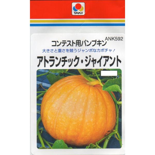 小袋 5粒入り。品種名：アトランチックジャイアント果実が肥大する際、自重で変形するので、何度か玉の向きを変える必要があります。※郵便でのお届けです。※タネの郵便（第４種便）は運賃が税込￥73〜602円の範囲内です。※１kgを超えるもの、大き...