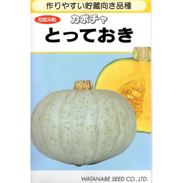 小袋 8粒 入り※上記の詰め量は当社のオリジナル規格です。果実は1.8kg程度の大きさに育ちます。白い皮で貯蔵性がよく収穫後 2〜3ヶ月保存が可能です。収穫後 20日くらいから甘みが増します。※郵便でのお届けです。※タネの郵便（第４種便）は...