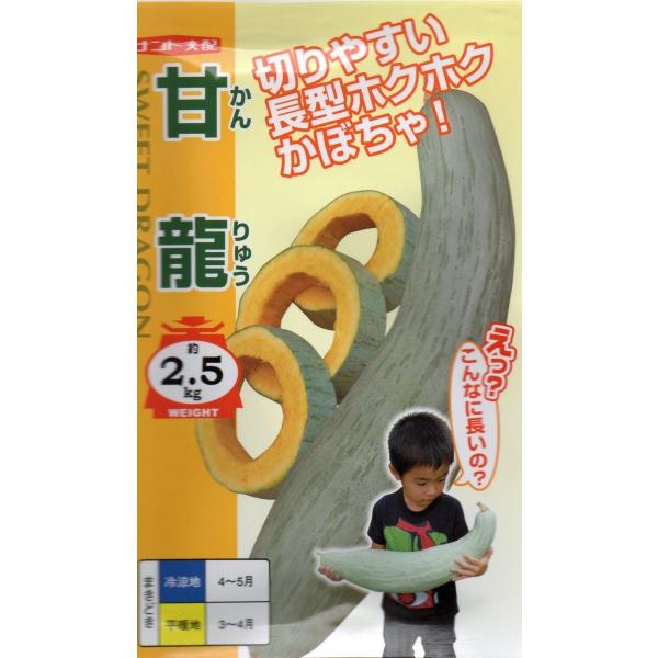 小袋 5粒入り。長さ45cm前後になる長い形状の味が良いカボチャです。※郵便でのお届けです。※タネの郵便（第４種便）は運賃が税込￥73〜602円の範囲内です。※１kgを超えるもの、大きくて郵便で送れないものはゆうぱっく　でのお届けになります...