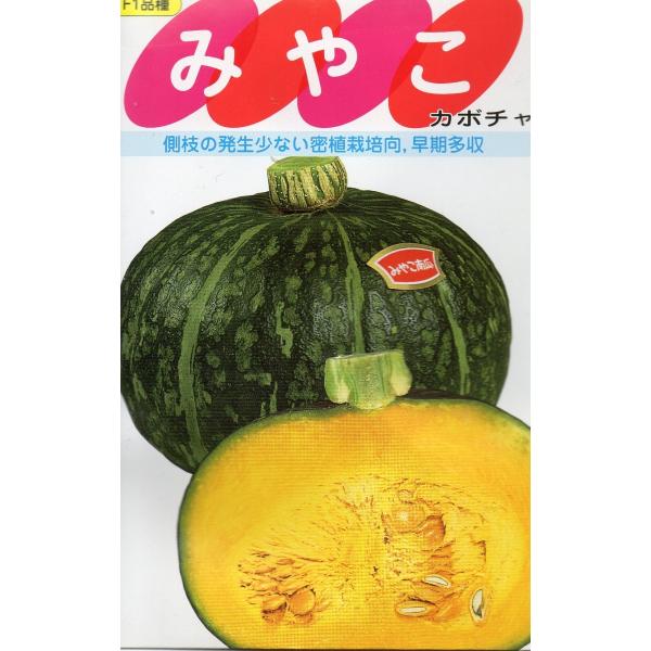 小袋 6.5ml(約8粒)入り早く食べたい人にお勧めの極早生品種です！※郵便でのお届けです。※タネの郵便（第４種便）は運賃が税込￥73〜602円の範囲内です。※１kgを超えるもの、大きくて郵便で送れないものはゆうぱっく　でのお届けになります...