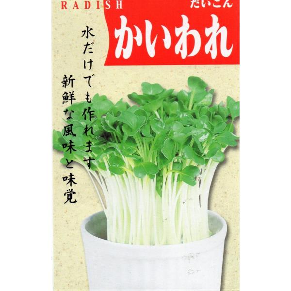 内容量：30ml生産国：アメリカ農薬処理：無処理育て方：深めの容器にキッチンタオルなどを折りたたんで　　　　引き、適度に水分を与えてそこに種をばらばらと　　　　重なり合わない程度にまく。　　　　種をまいたら暗い所におき、室温は20〜25℃に...