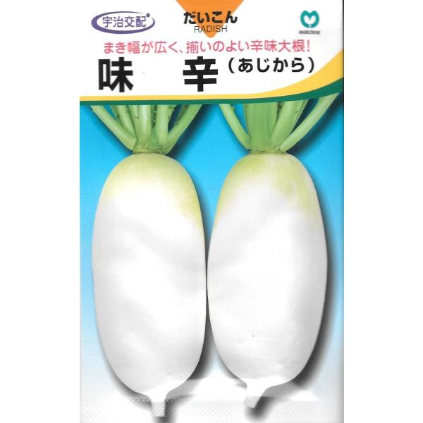 小袋3.5ml入り。播種後約50〜60日で根長12〜15cm、根径4〜5cm程度になります。根重は300〜400gです。※郵便でのお届けになります。※タネの郵便（第４種便）は運賃が税込￥73〜602円の範囲内です。※１kgを超えるもの、大き...