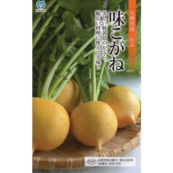 小袋 1.8ml入り。播種後45〜50日で根径5〜6cmの小蕪、その後7〜8cmで中蕪となり、根径12cmくらいまで収穫可能です。※郵便でのお届けになります。※タネの郵便（第４種便）は運賃が税込￥73〜602円の範囲内です。※１kgを超える...